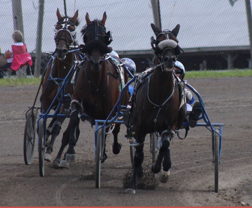 Pennsylvania Horse Racing — Family-friendly Events